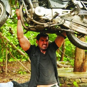 Force - Rotten Tomatoes