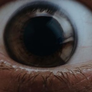 Threshold - Rotten Tomatoes