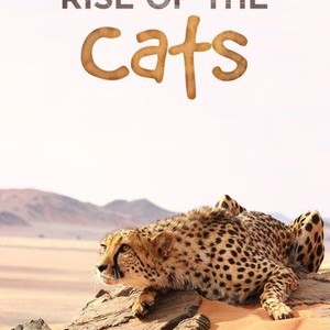 Rise of the Cats - Rotten Tomatoes