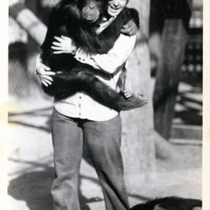 Lucy the Human Chimp - Rotten Tomatoes