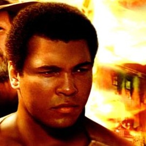 Freedom Road - Rotten Tomatoes