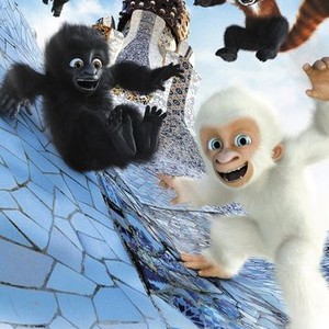 Snowflake, the White Gorilla - Rotten Tomatoes