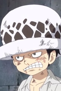 One Piece: Season 17, Episode 73 | Rotten Tomatoes