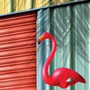 Storage Wars: Miami - Rotten Tomatoes