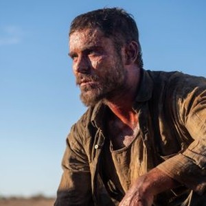 Gold - Rotten Tomatoes