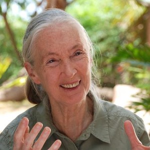 Jane's Journey - Rotten Tomatoes