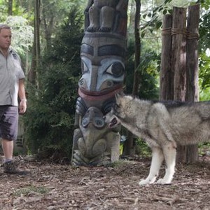 Zookeeper - Rotten Tomatoes