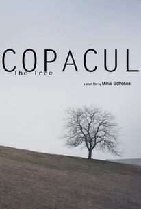 Copacul | Rotten Tomatoes