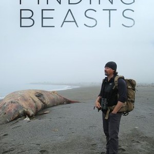 Finding Beasts - Rotten Tomatoes