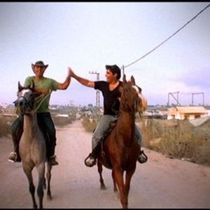 Dolphin Boy - Rotten Tomatoes