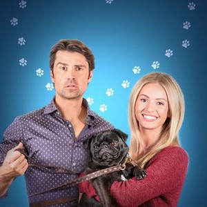 The Dog Lover's Guide to Dating - Rotten Tomatoes