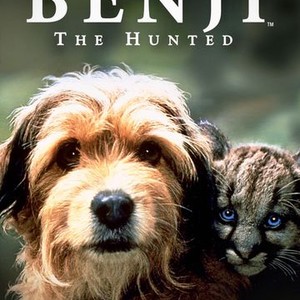 Benji the Hunted - Rotten Tomatoes