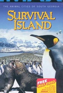 Survival Island (1996) - Rotten Tomatoes