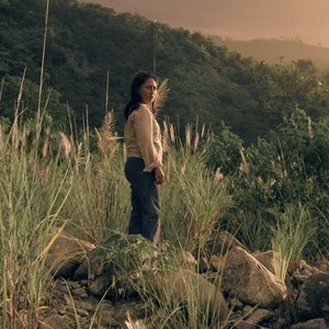 Lisa - Rotten Tomatoes