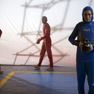 Platform - Rotten Tomatoes