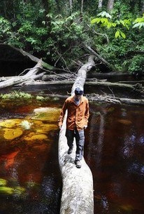 Shane Untamed: Season 1, Episode 3 | Rotten Tomatoes