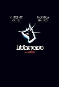 Dobermann | Rotten Tomatoes