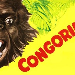 Congorilla - Rotten Tomatoes