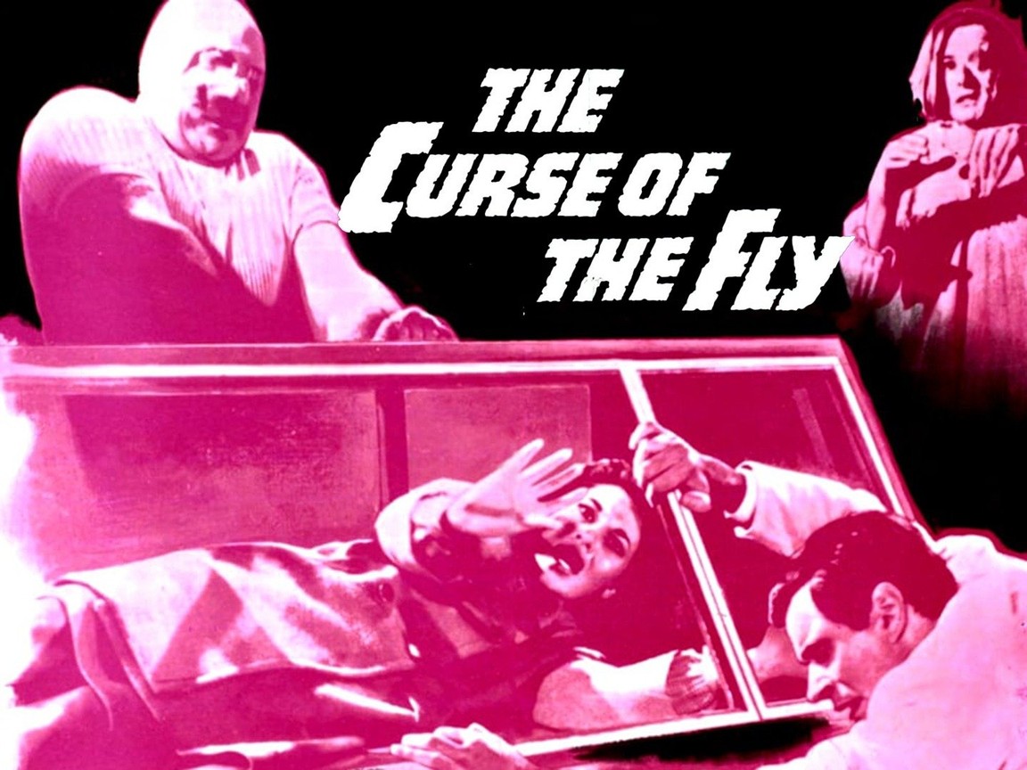 Curse Of The Fly