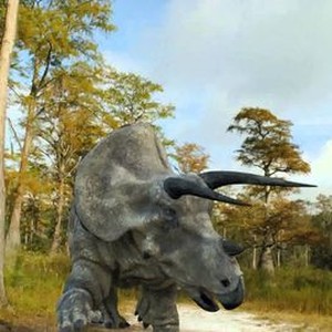 Waking the T-Rex: The Story of Sue - Rotten Tomatoes