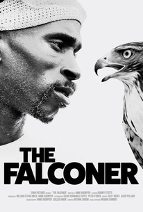 The Falconer | Rotten Tomatoes