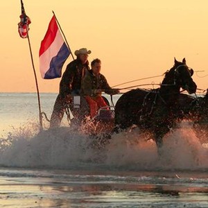 The Caravan Film - Rotten Tomatoes