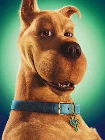 Scrappy Doo Real Life