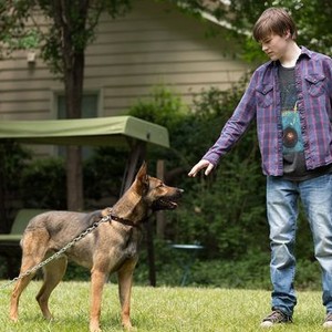 Max - Rotten Tomatoes