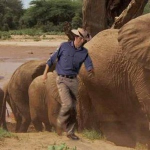 Andy's Wild Adventures: Season 1, Episode 9 - Rotten Tomatoes