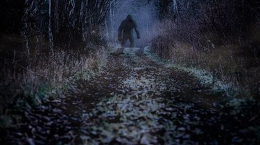 animal planet finding bigfoot coloring pages