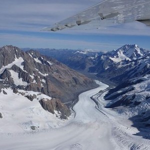 Wild New Zealand - Rotten Tomatoes