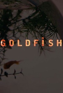 Goldfish | Rotten Tomatoes