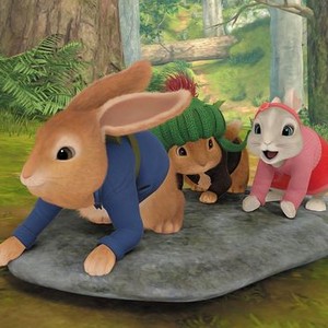 Peter Rabbit: Season 3, Episode 19 - Rotten Tomatoes