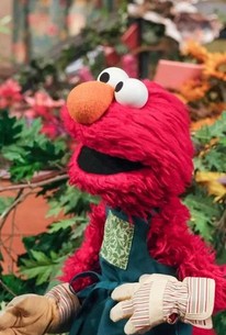 Sesame Street: Season 53, Episode 28 | Rotten Tomatoes