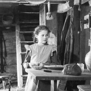 Heidi - Rotten Tomatoes