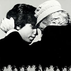 Tribute - Rotten Tomatoes