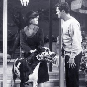 Goodbye Charlie - Rotten Tomatoes