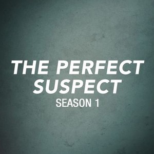 The Perfect Suspect - Rotten Tomatoes