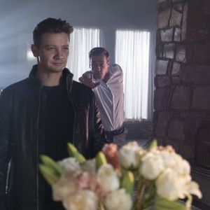 Tag - Rotten Tomatoes