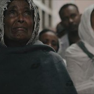 Flight / Risk - Rotten Tomatoes