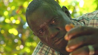 Rotten | Rotten Tomatoes