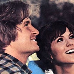 Summertree - Rotten Tomatoes