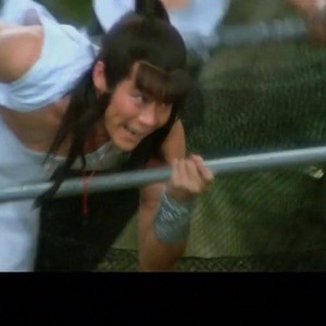 Five Element Ninjas - Rotten Tomatoes