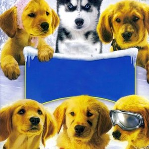 Snow Buddies - Rotten Tomatoes