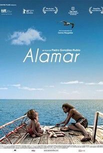 Alamar (To the Sea) (2010) - Rotten Tomatoes