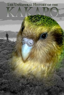 The Unnatural History of the Kakapo | Rotten Tomatoes