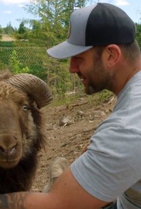 My Pack Life: Season 1, Episode 2 - Rotten Tomatoes