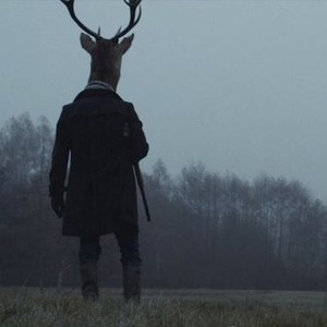 Anonymous Animals - Rotten Tomatoes