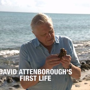 David Attenborough's First Life - Rotten Tomatoes