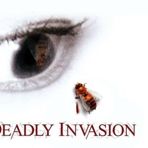Deadly Invasion: The Killer Bee Nightmare - Rotten Tomatoes